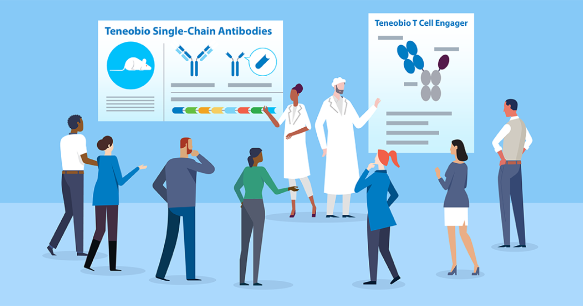 Teneobio Acquisition Adds Talent and New Types of Antibodies to Amgen ...
