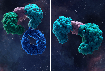 Amgen | A Worldwide Pioneer in Biotechnology