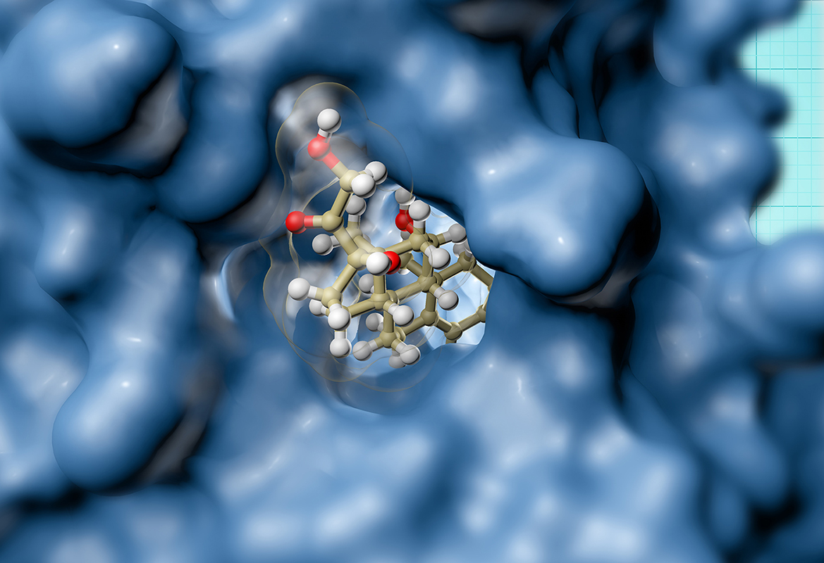 Small Molecule | Amgen