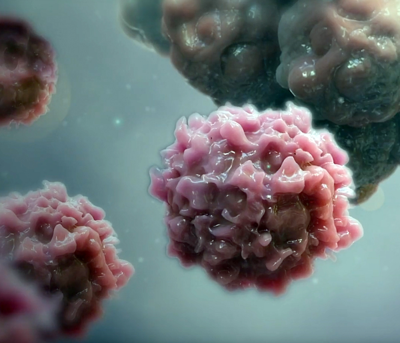 The Digital Cell Biology Revolution | Amgen