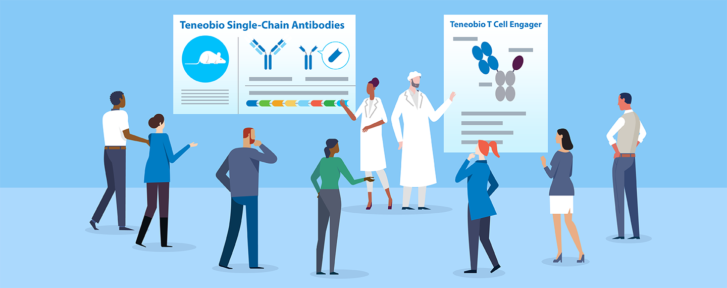 Teneobio Acquisition Adds Talent and New Types of Antibodies to Amgen ...