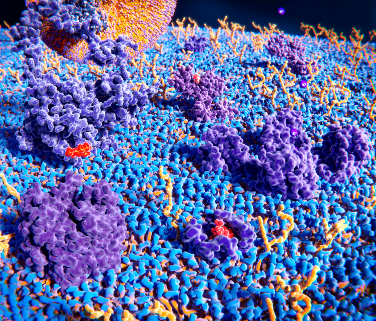 Generative Biology: Designing Biologic Medicines with Greater Speed and ...