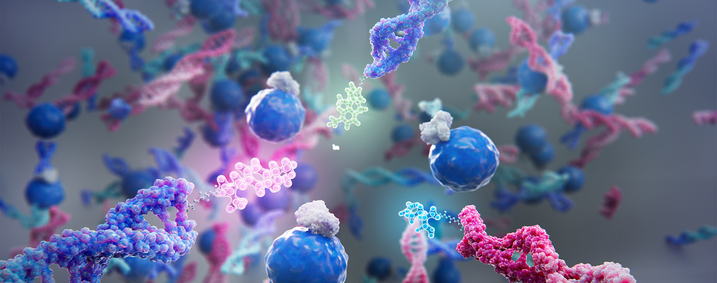 Driving Drug Design Using DNA Encoded Libraries | Amgen
